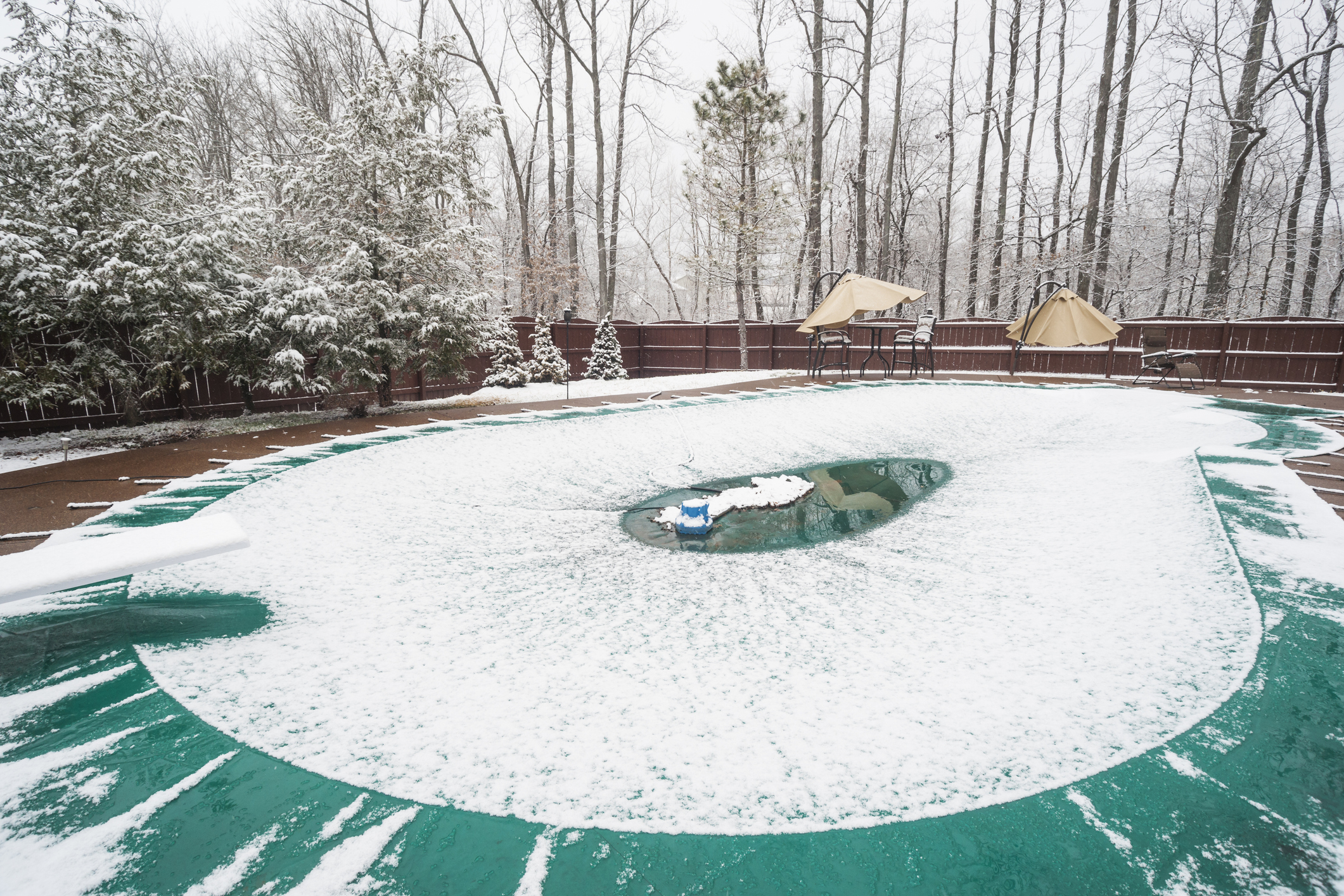 Winter Pool Service | Pool Scouts